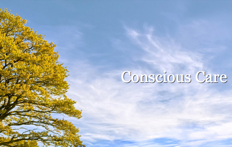 Vectobac 12AS, larvicida biologico - Pest Control News