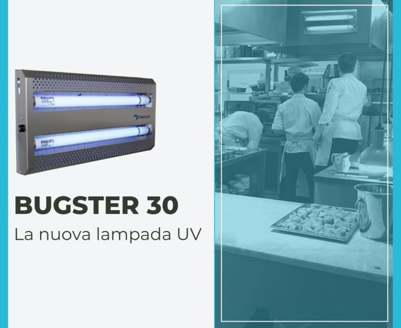 BUGSTER 30: la nuova lampada UV - Pest Control News